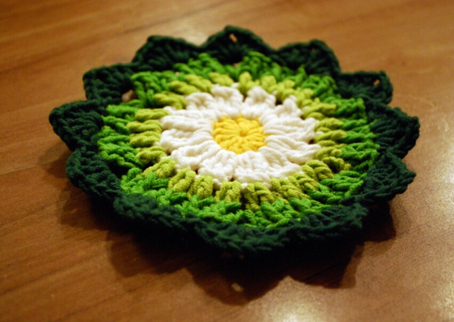 Daisy Daisy Coasters Crochet Daisy Crochet Coasters - Etsy