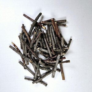 Fairy Twig Ladders 4 Options: 6, 8, 10 or 12 RUNGS. Fairy Garden Decor ...