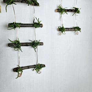 Fairy Twig Ladders 4 Options: 6, 8, 10 or 12 RUNGS. Fairy Garden Decor ...