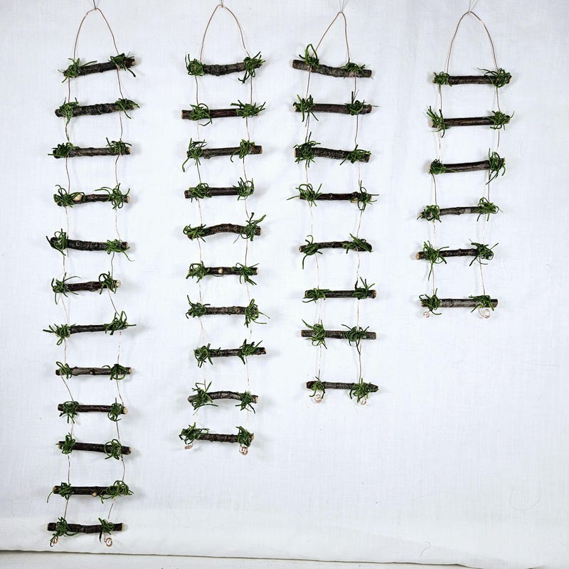 Hanging Fairy Garden - Etsy