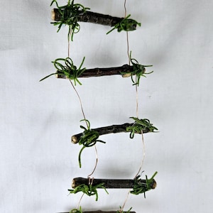 Fairy Twig Ladders 4 Options: 6, 8, 10 or 12 RUNGS. Fairy Garden Decor ...