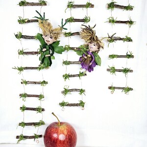 Fairy Twig Ladders 4 Options: 6, 8, 10 or 12 RUNGS. Fairy Garden Decor ...