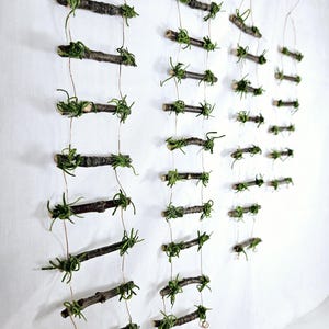 Fairy Twig Ladders 4 Options: 6, 8, 10 or 12 RUNGS. Fairy Garden Decor ...