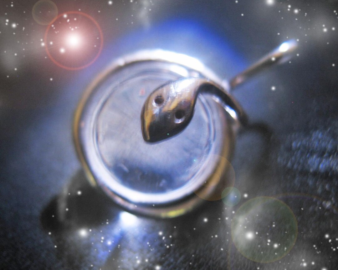 Halloween Collection Necklace Snake Charmer Influence Charm Magick ...