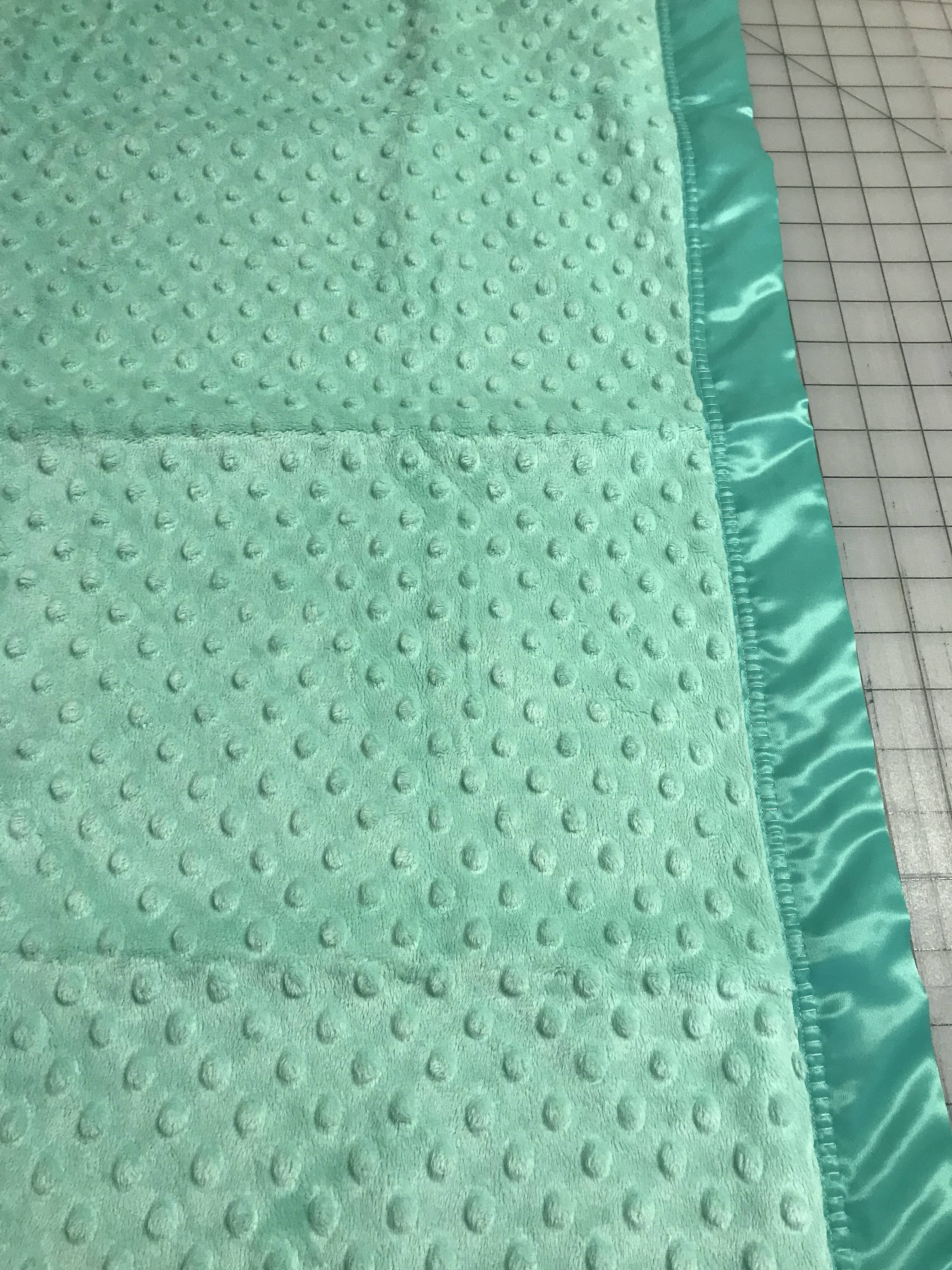 31 x 34 mint minky blanket with taupe satin backing and green binding