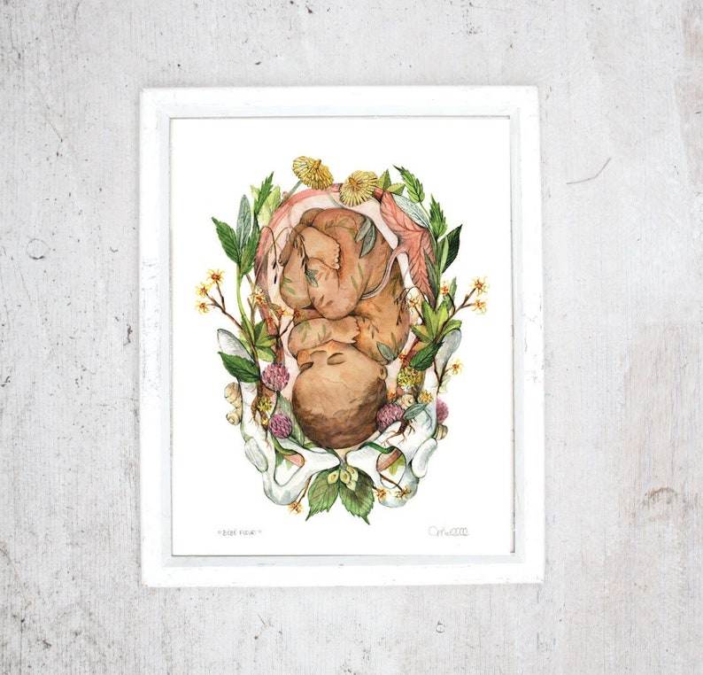 Print Flowered Baby Poster Anatomical and Botanical Painting - Etsy
