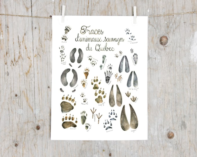 Print Wild Animal Tracks Watercolor Painting Art Mural - Etsy