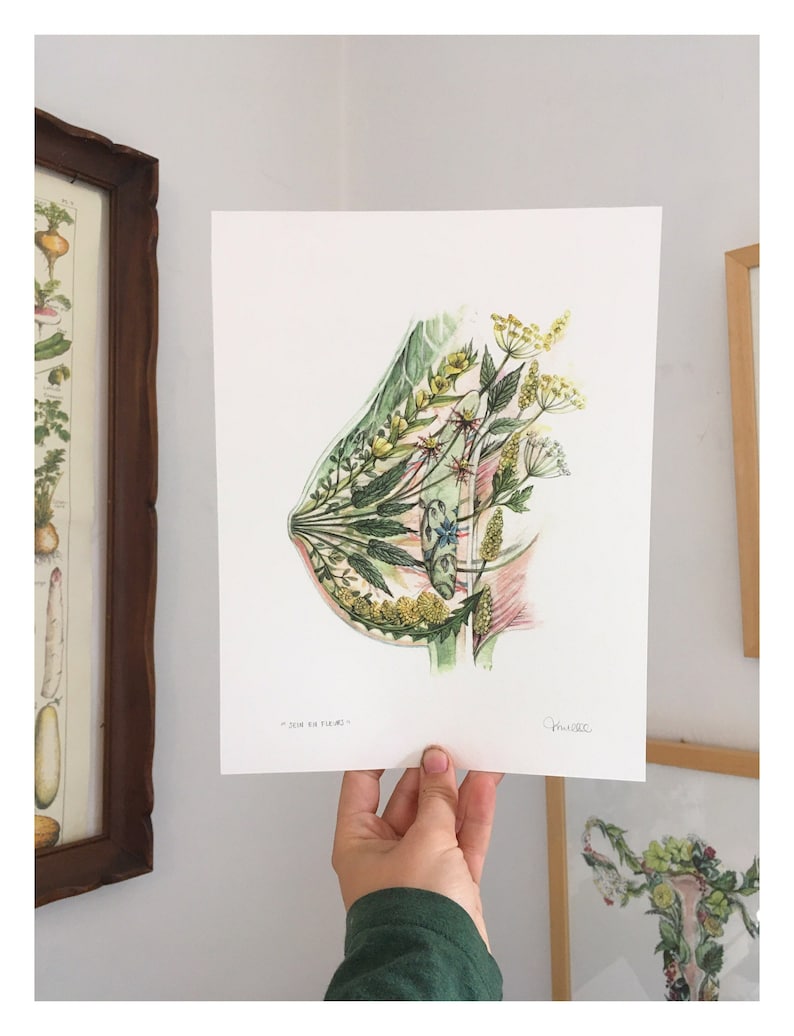 Imprimé Sein en fleurs Poster planche anatomique et - Etsy Canada