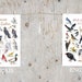 Print Birds of Eastern North America Watercolor Birds Painting ...