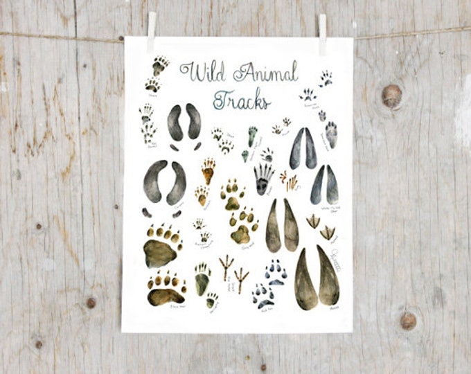 Print Wild Animal Tracks | Watercolor Painting | Art Mural ...