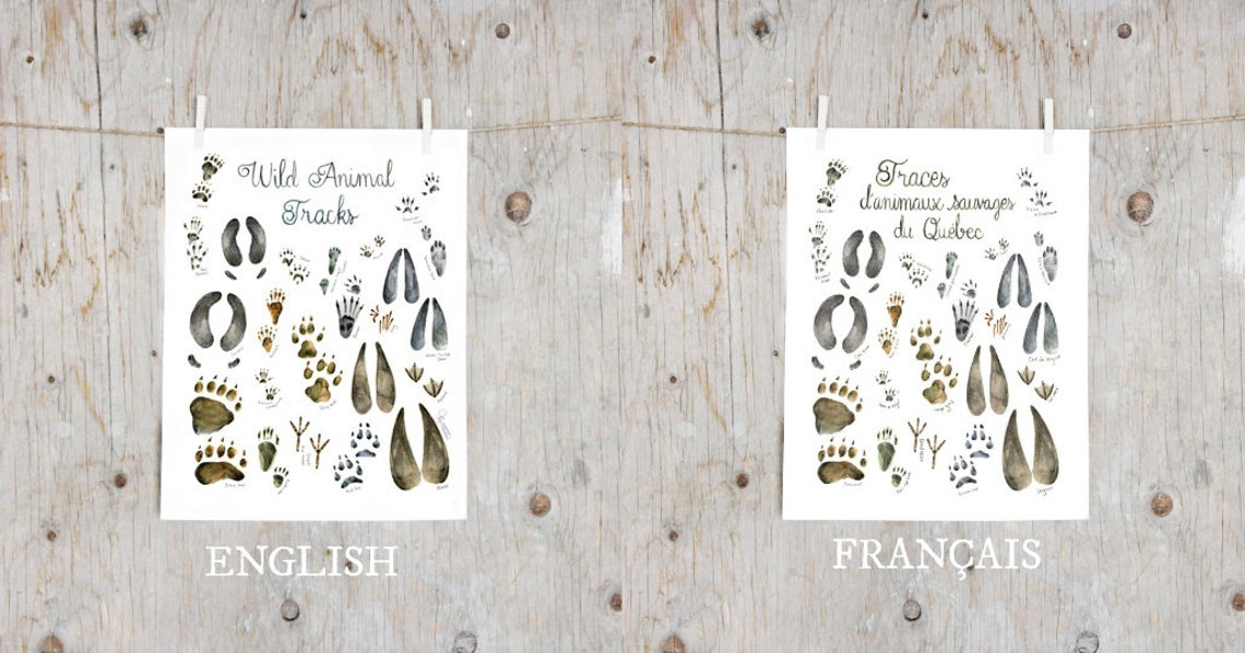 Print Wild Animal Tracks Watercolor Painting Art Mural - Etsy