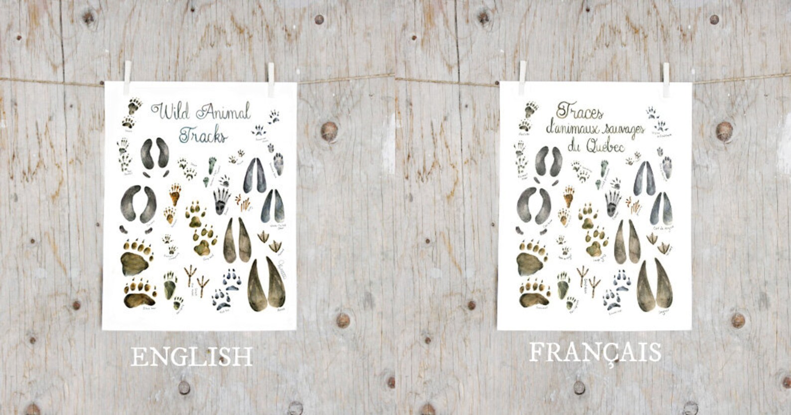 Print Wild Animal Tracks Watercolor Painting Art Mural - Etsy