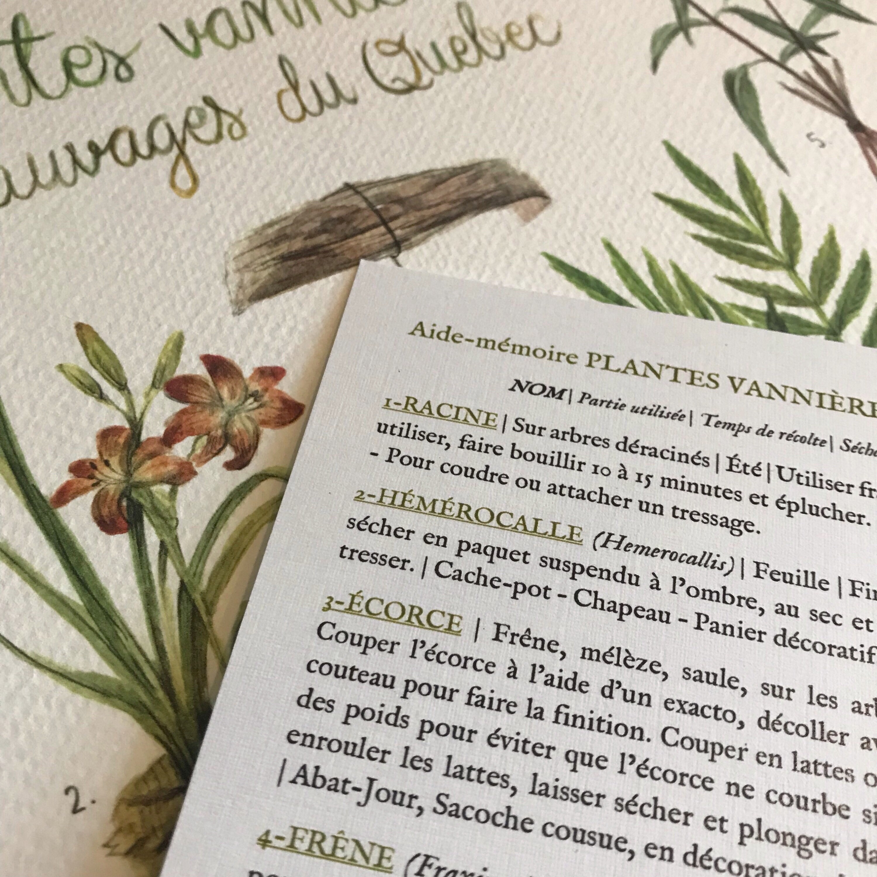 Print Wild Plants for Weaving Poster Botanical Paintings - Etsy