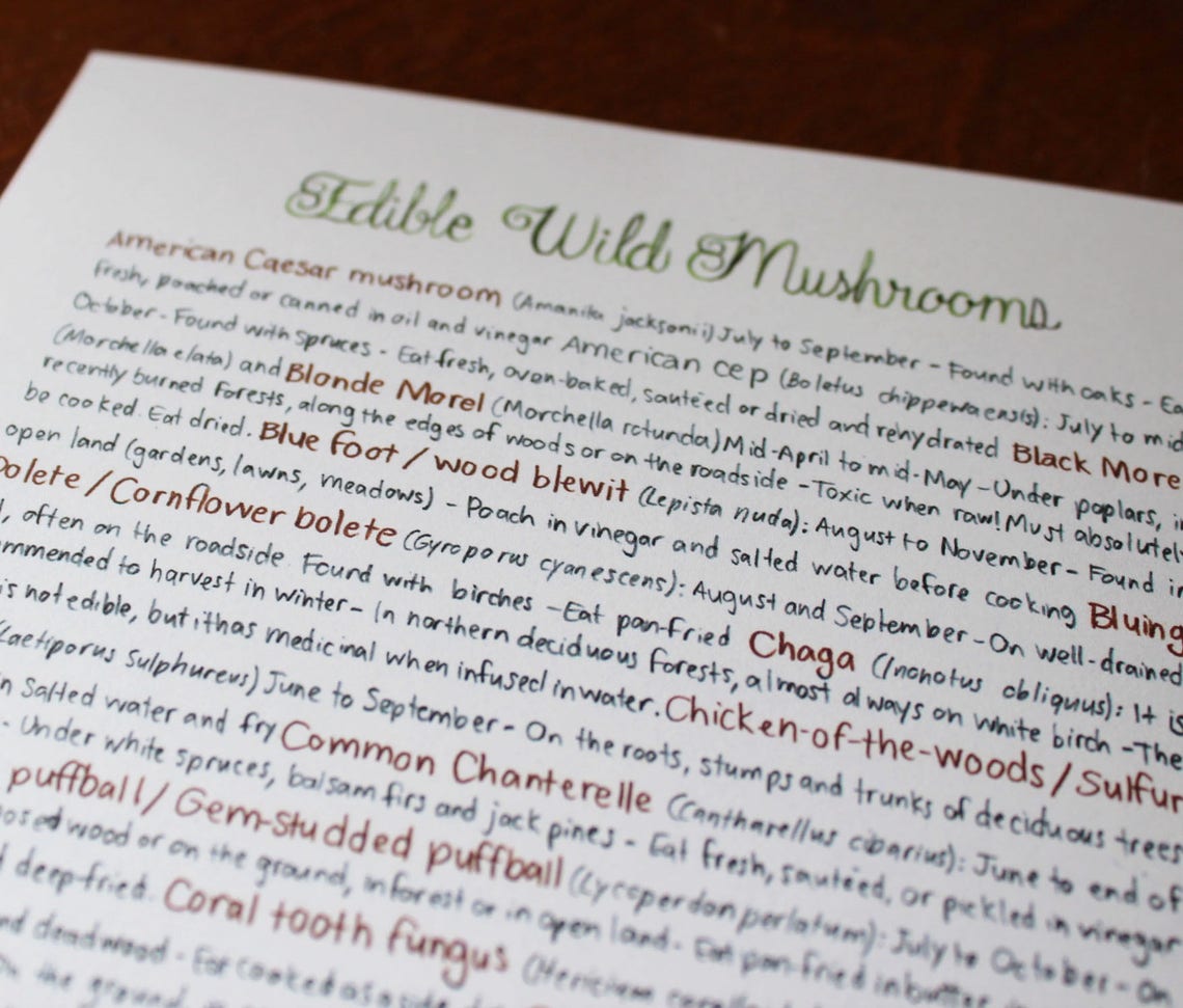 Print Edible Wild Mushroom | Mushroom Print | Botanicals Kitchen Art ...
