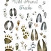 Print Wild Animal Tracks Watercolor Painting Art Mural Identification ...
