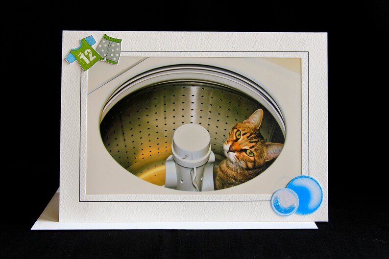 Cat in Washing Machine Greeting Card-spring Cleaning Cat Card-all ...