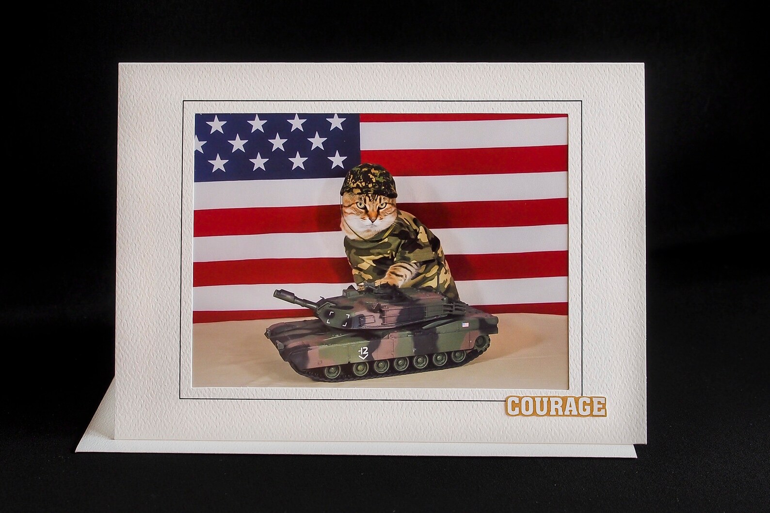 US Army Cat Card-cat in Combat Uniform-all Occasion Card for Cat Lovers ...