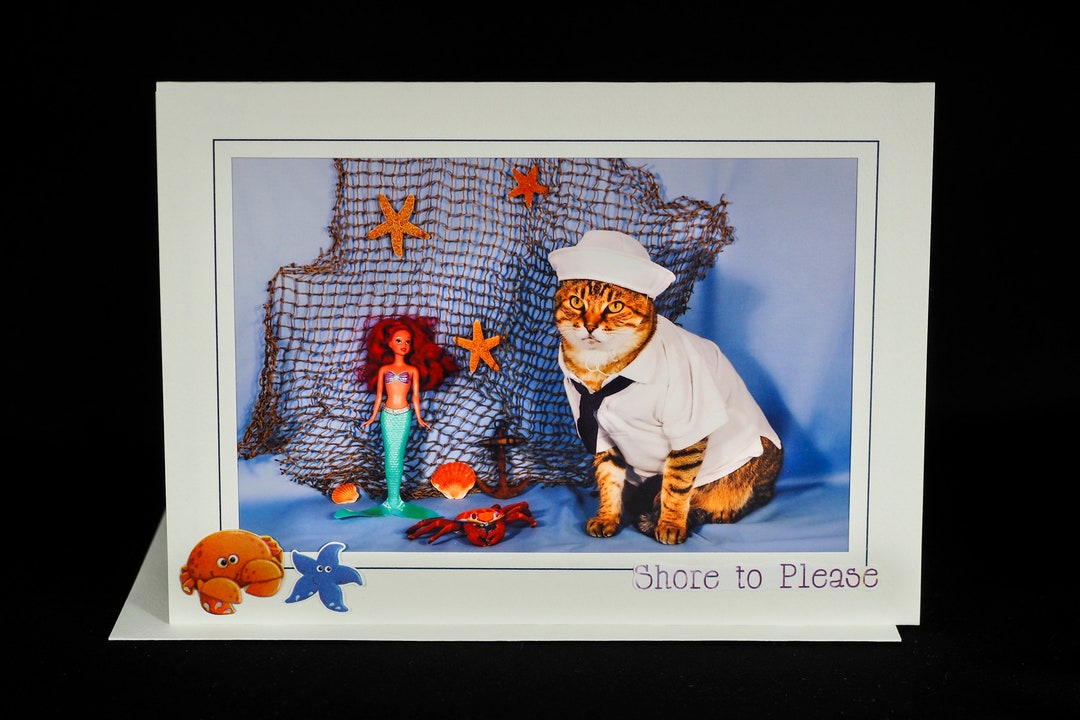 US Navy Cat Card-sailor Cat-all Occasion Blank Greeting Card for Cat ...