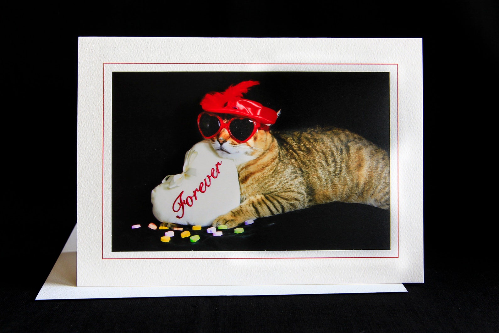 Valentine Cat Card-cat Wearing Red Hat-holiday Greeting Card for Cat ...