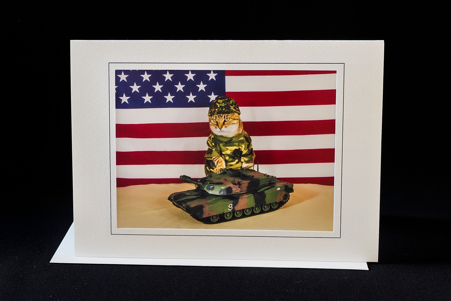 US Army Cat Card-cat in Combat Uniform-all Occasion Card for Cat Lovers ...