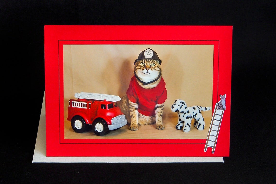 Firefighter Cat Card-cat Wearing Fireman Hat-all Occasion Greeting Card ...