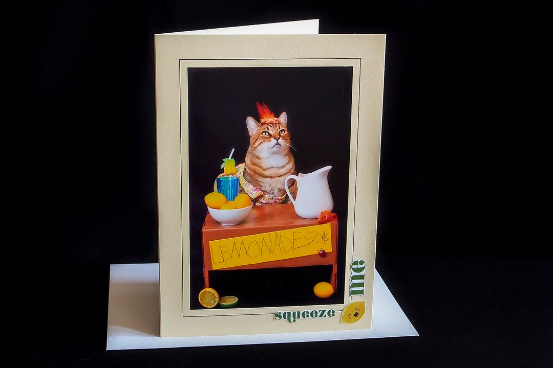 Cat at Lemonade Stand-summer Cat Card-all Occasion Blank Greeting Card ...