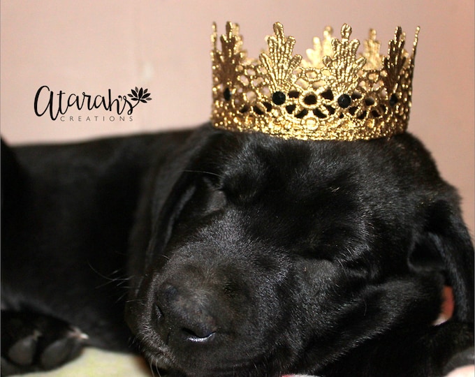 Crown for Cat, Pet Costume, Cat Crown, King Crown, Pet Costume Cat, Cat Hat, Hats for Cats, Cat ...