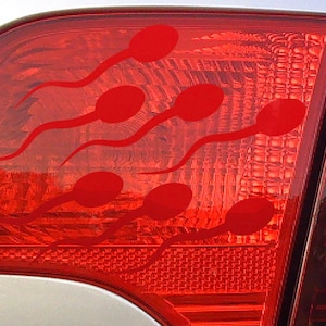 The Original Prank Break Light Decal [ Dick Sperm Gag Gift Anaconda ...