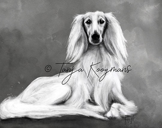 Saluki, Saluki Art, Saluki Painting, White Saluki, Saluki Portrait, Saluki Print, Saluki Wall ...