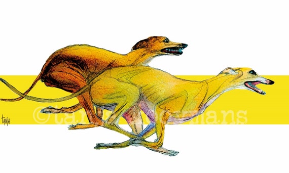 Running Whippets Running Greyhounds Greyhound Art Print - Etsy