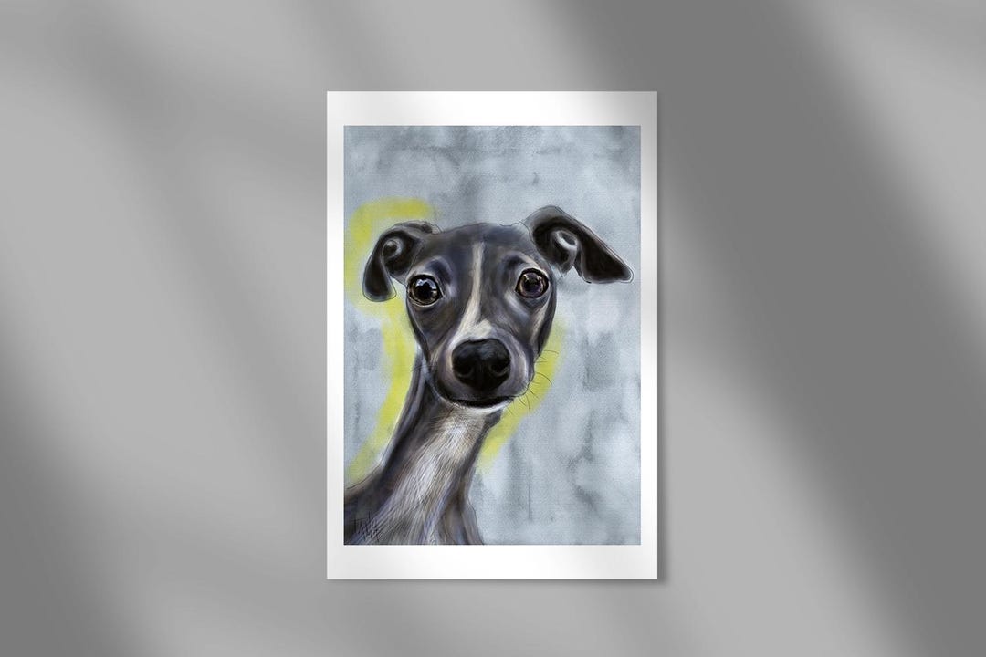 Italian Greyhound Print, Iggy Print, Iltaliantje, Italian Greyhound Art ...