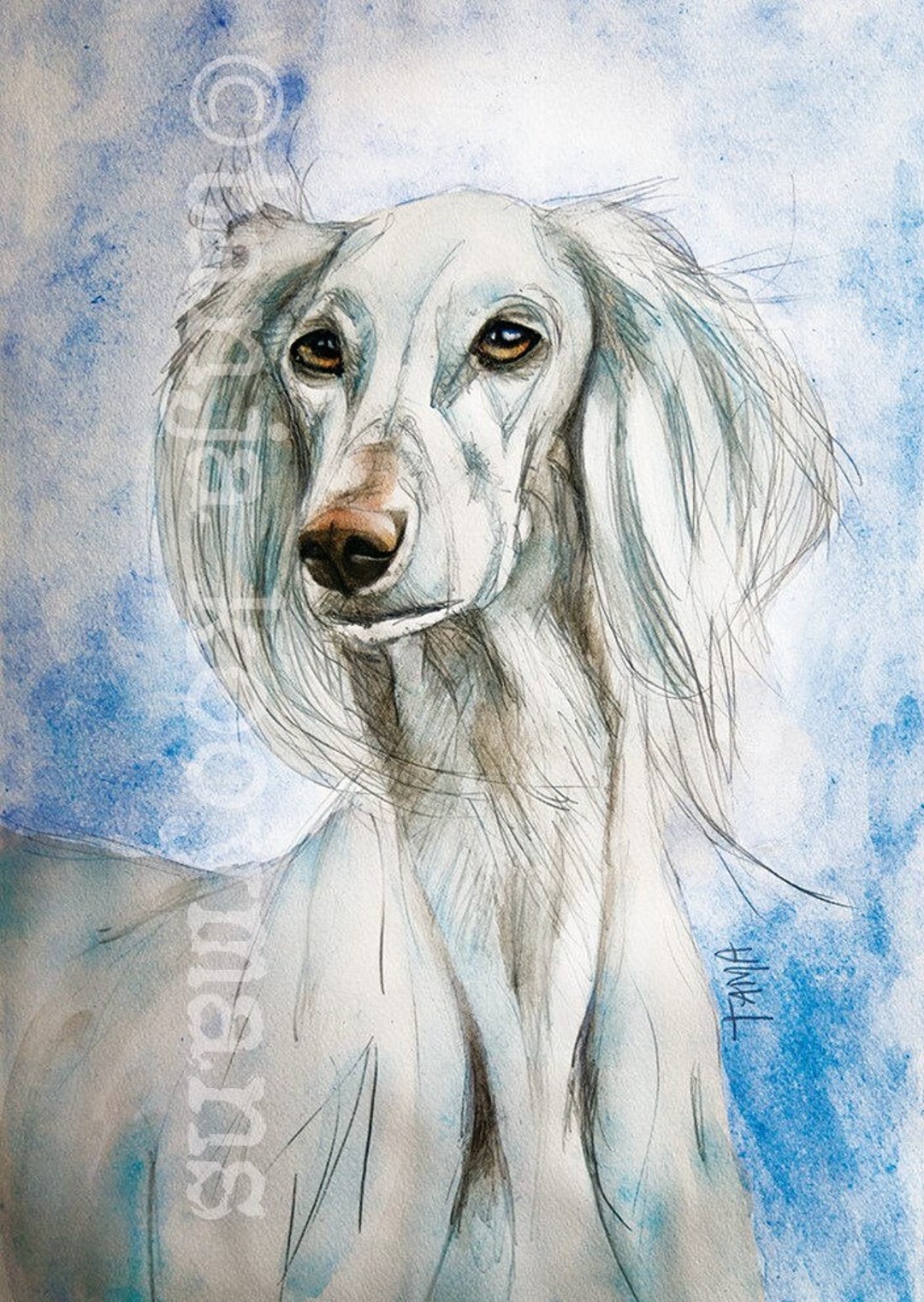 Saluki, Saluki Art, Saluki Painting, White Saluki, Saluki Portrait, Saluki Print, Saluki Wall ...