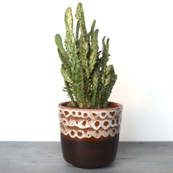 Retro Plant Pot - Etsy