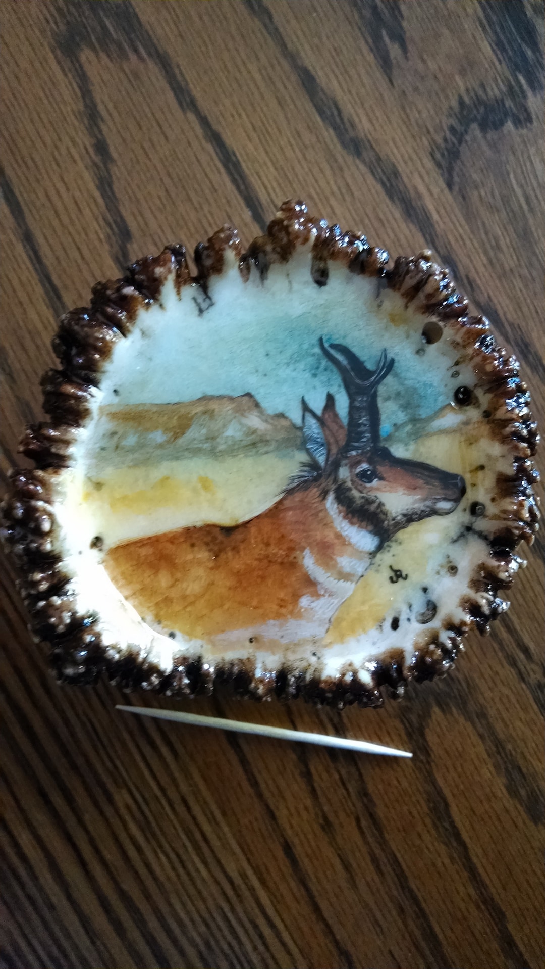 XL Antler Belt Buckle, Hand Painted American Pronghorn (original ...