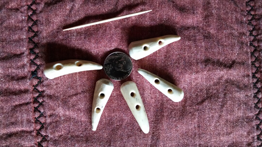 Toggle Buttons, 5 Genuine Whitetail Deer Antler Tips, Sanded and ...