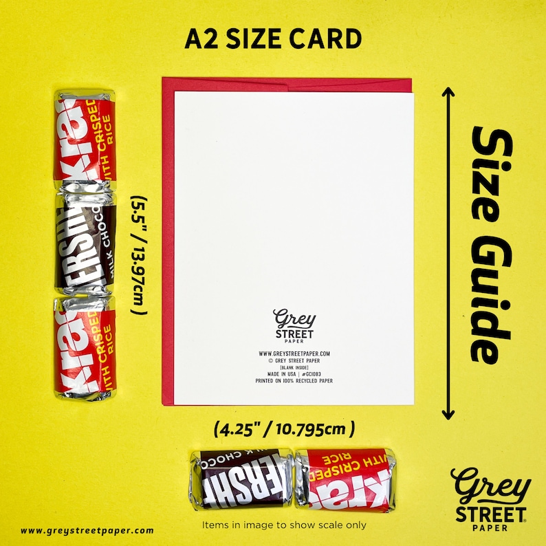 Opossum Birthday Card - Etsy