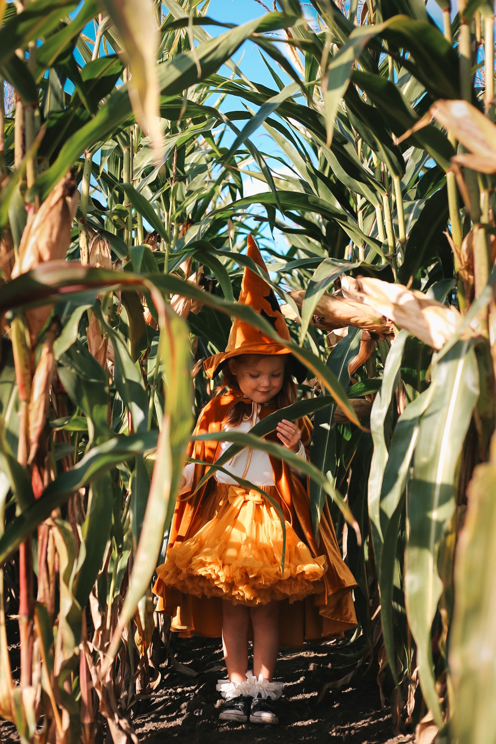 Magic Hat "gold Magic" Wizard Hat for Boy, Witch Hat for Girl ...