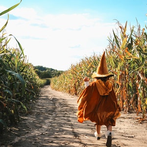 Magic Hat "gold Magic" Wizard Hat for Boy, Witch Hat for Girl ...