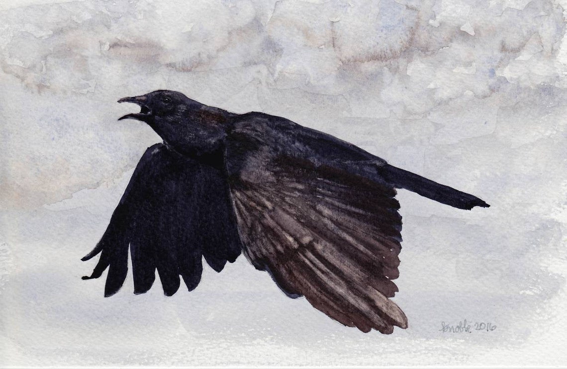 As the Crow Flies, Flying Crow Watercolor Print - Etsy
