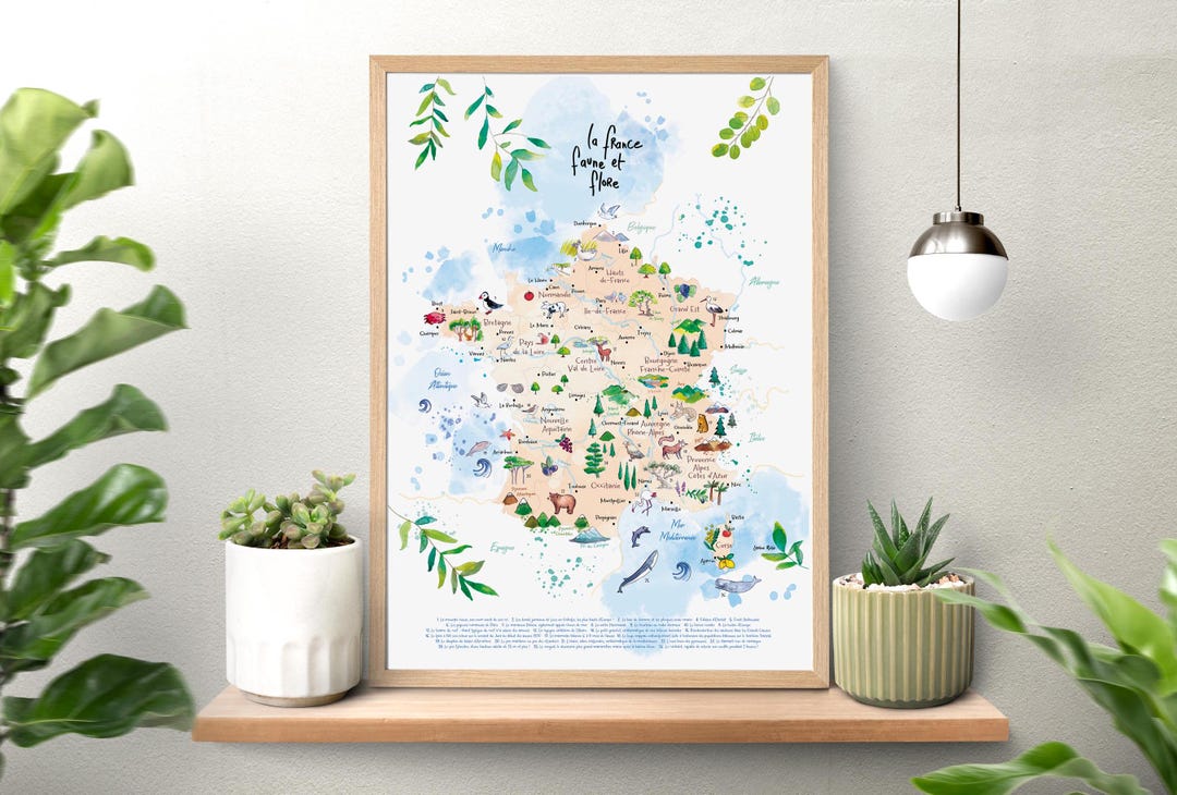 Affiche carte de France - Faune et Flore - illustration aquarelle ...