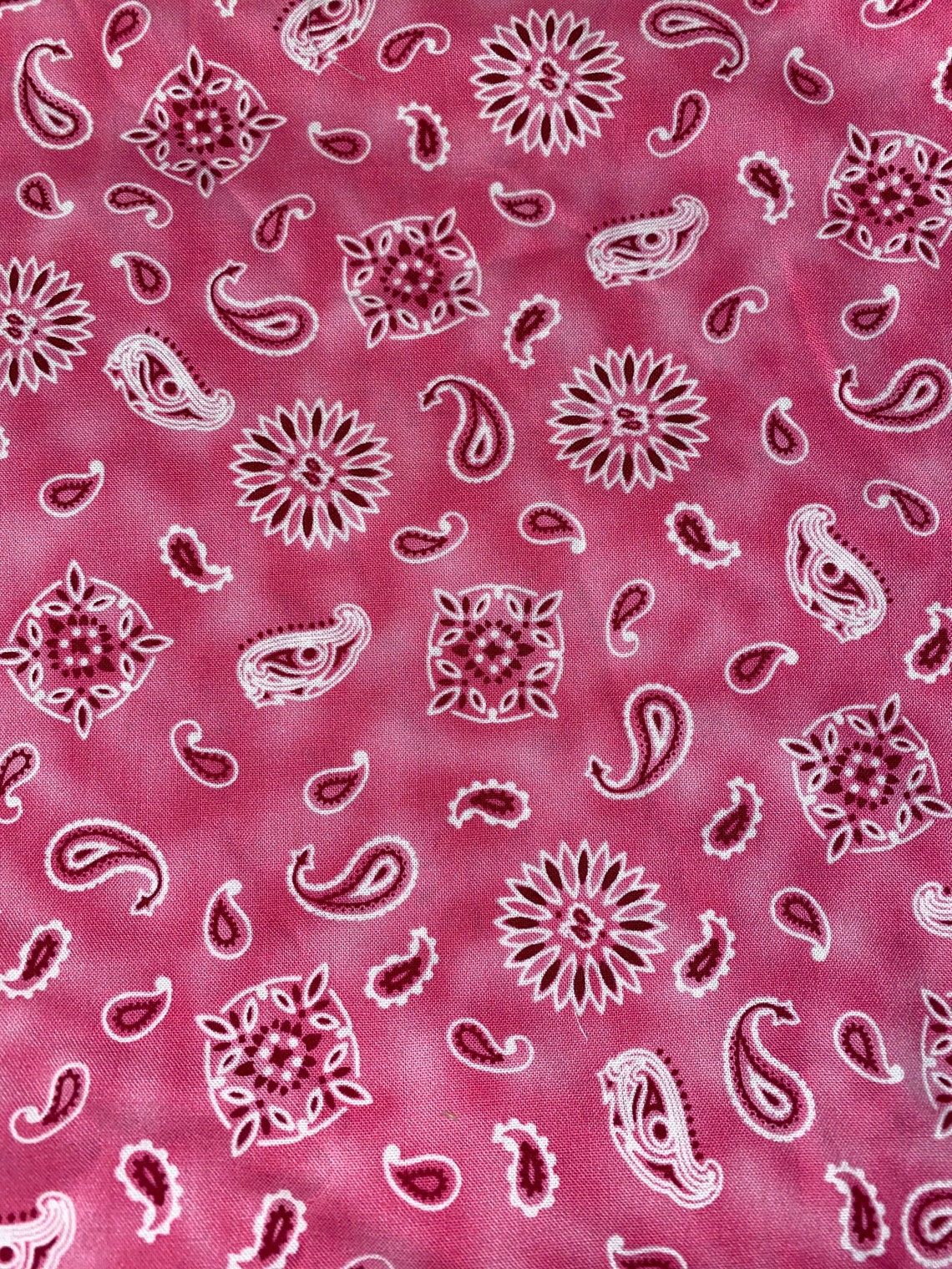 Pink Paisley Print Cotton Woven Fabric by Joann - Etsy