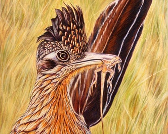 Roadrunner art | Etsy