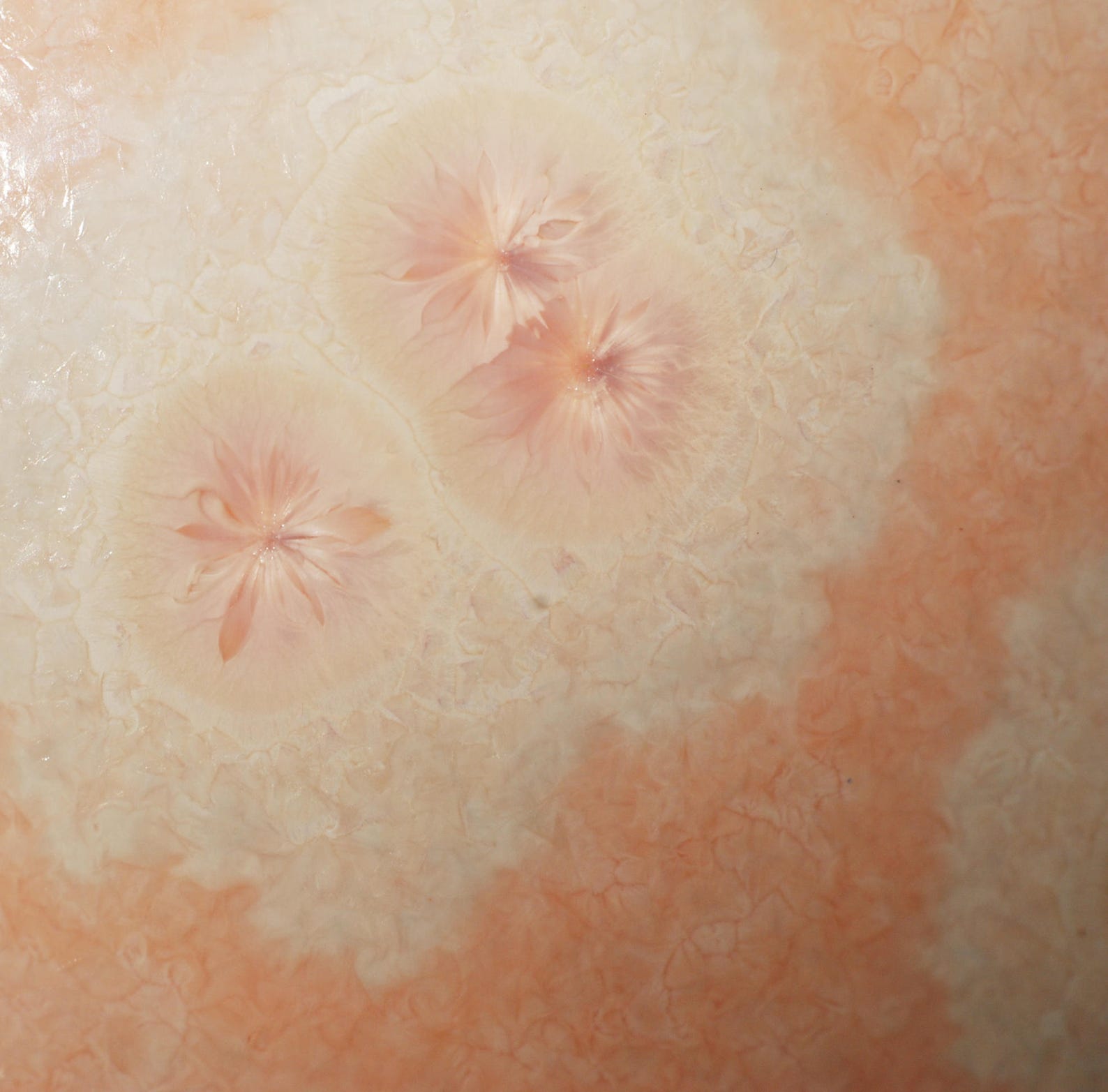 Pink Porcelain Vase Crystalline Pottery One of a Kind Home | Etsy