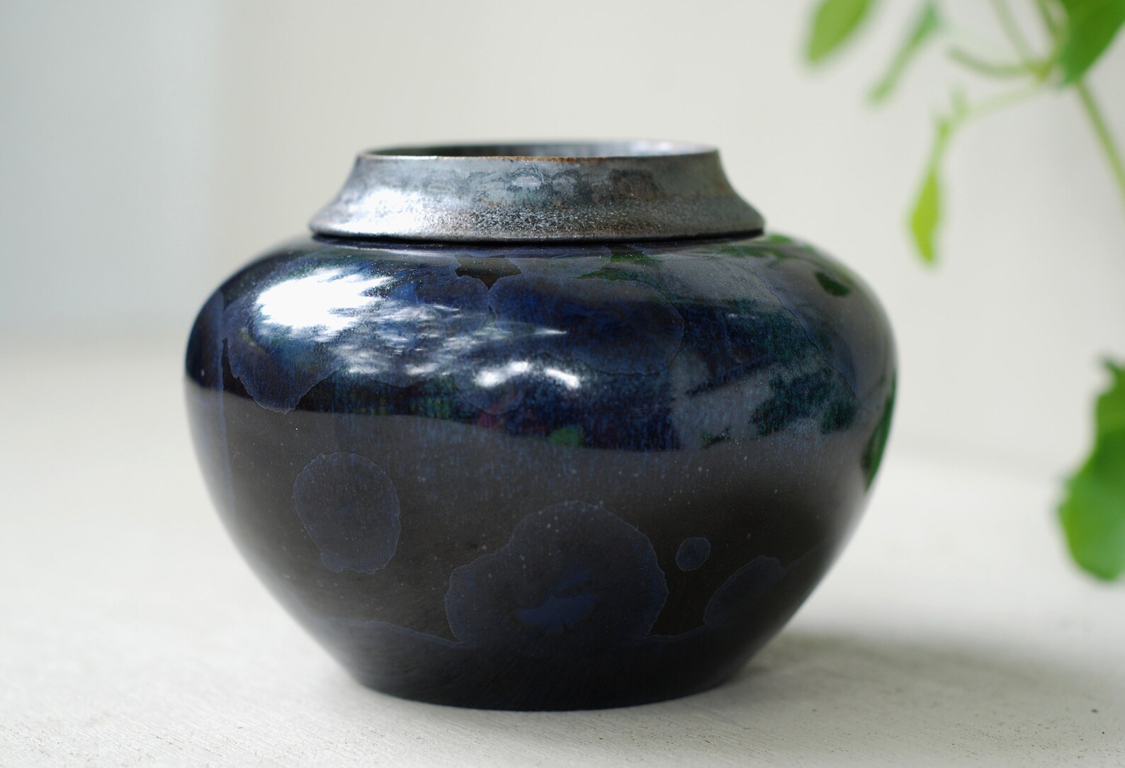 Cat Urn Dog Memorial Casket Urns for Human Ashes Subtle - Etsy