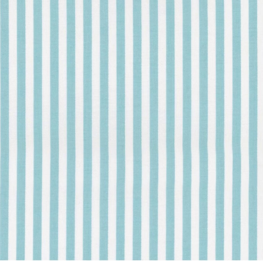 Riley Blake 1/4" White and Aqua Stripe - REMNANT - Etsy