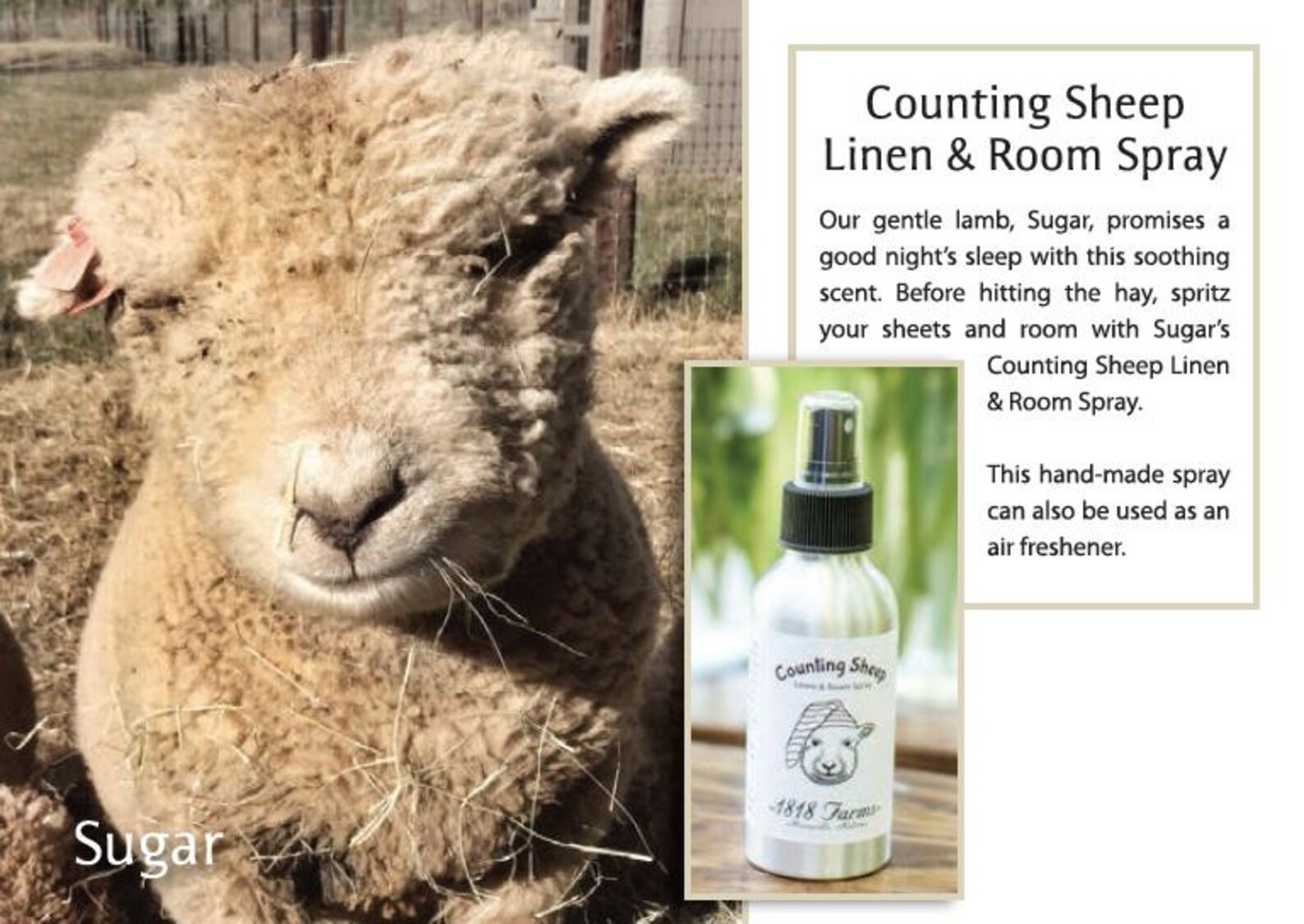 Counting Sheep Linen & Room Spray - 1818 Farms - Farm Themed Gift ...