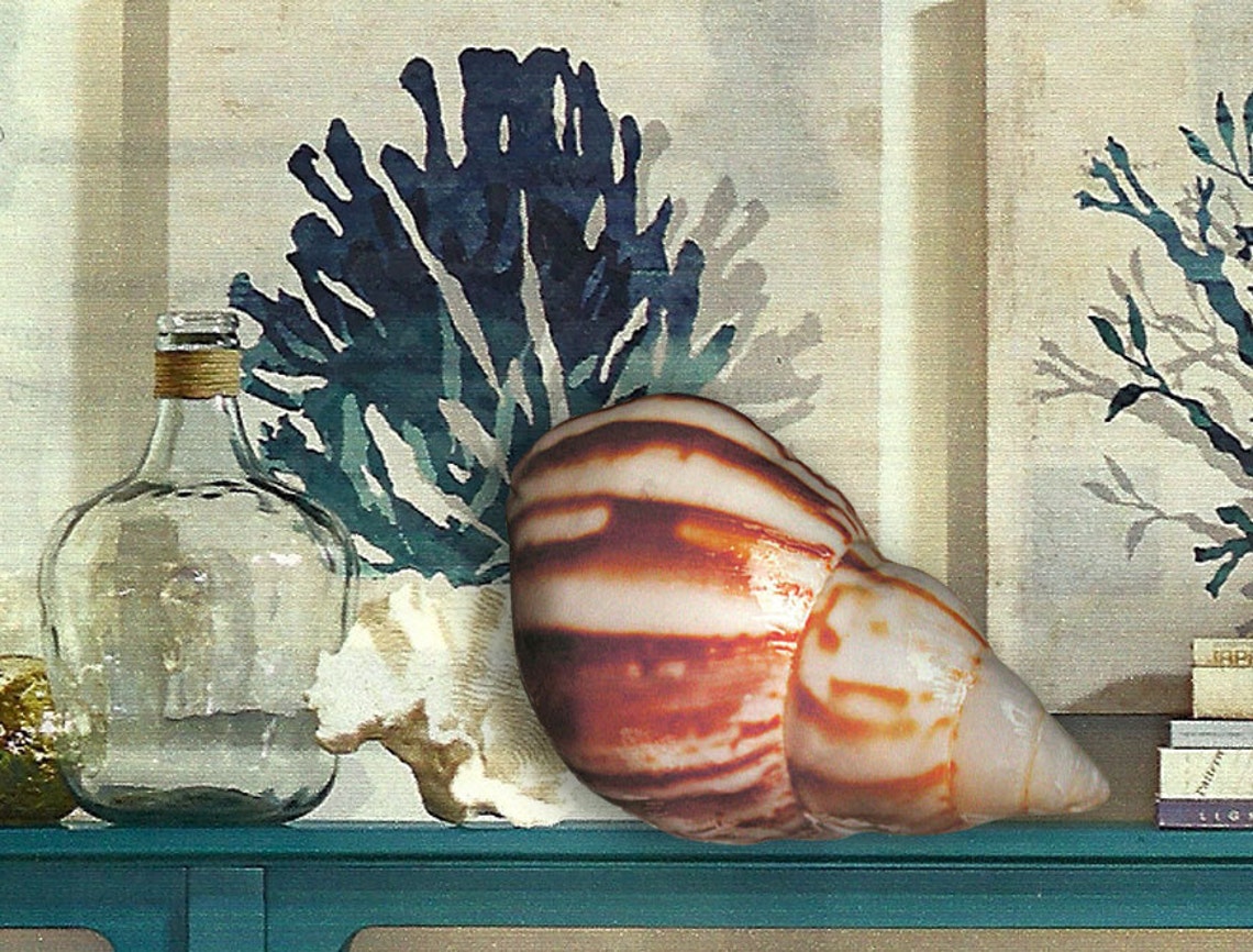 Sea Shell Shaped Pillow Periwinkle Snail - Etsy