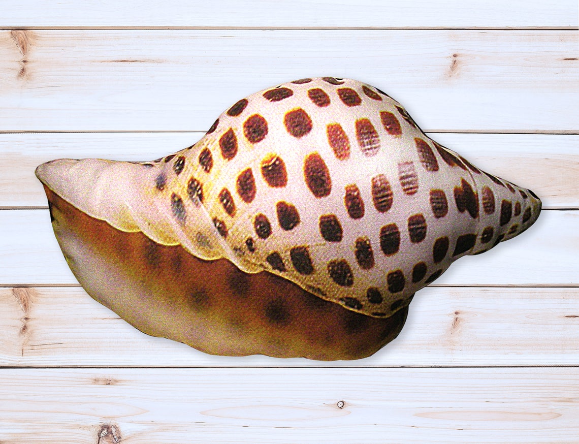 Shell Pillow Nautical Pillow Sea Shell Beach Pillow - Etsy