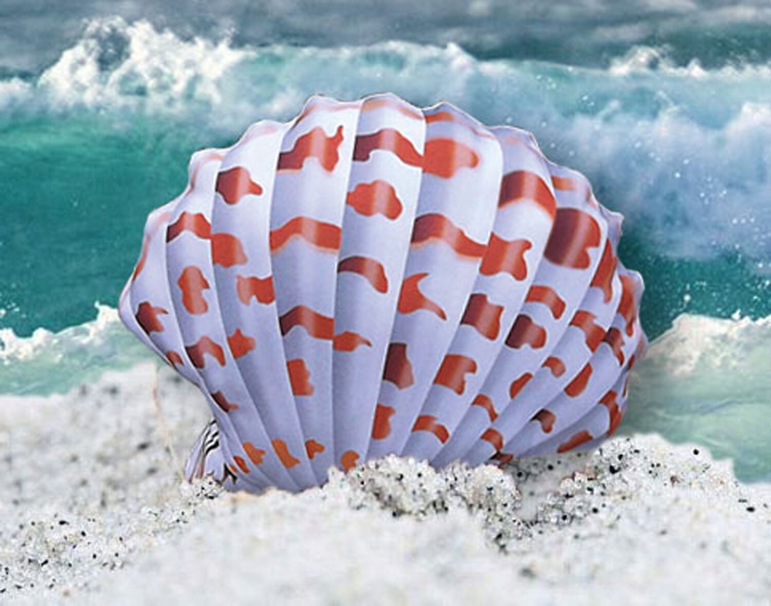 Shell Pillow Nautical Pillow Sea Shell Beach Pillow - Etsy
