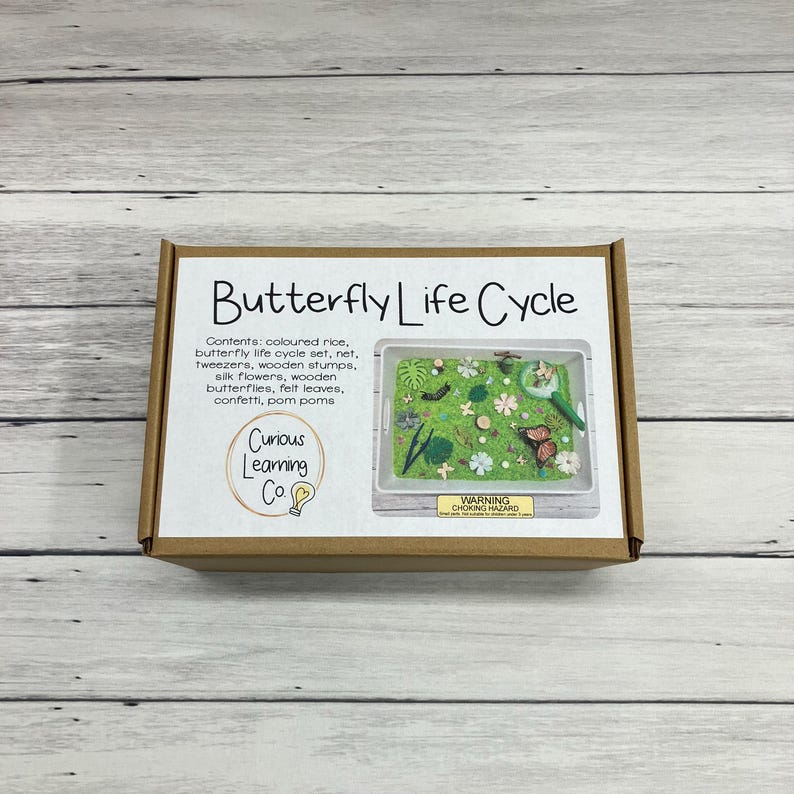 Butterfly Life Cycle Sensory Bin, Educational Kids Activity - Etsy